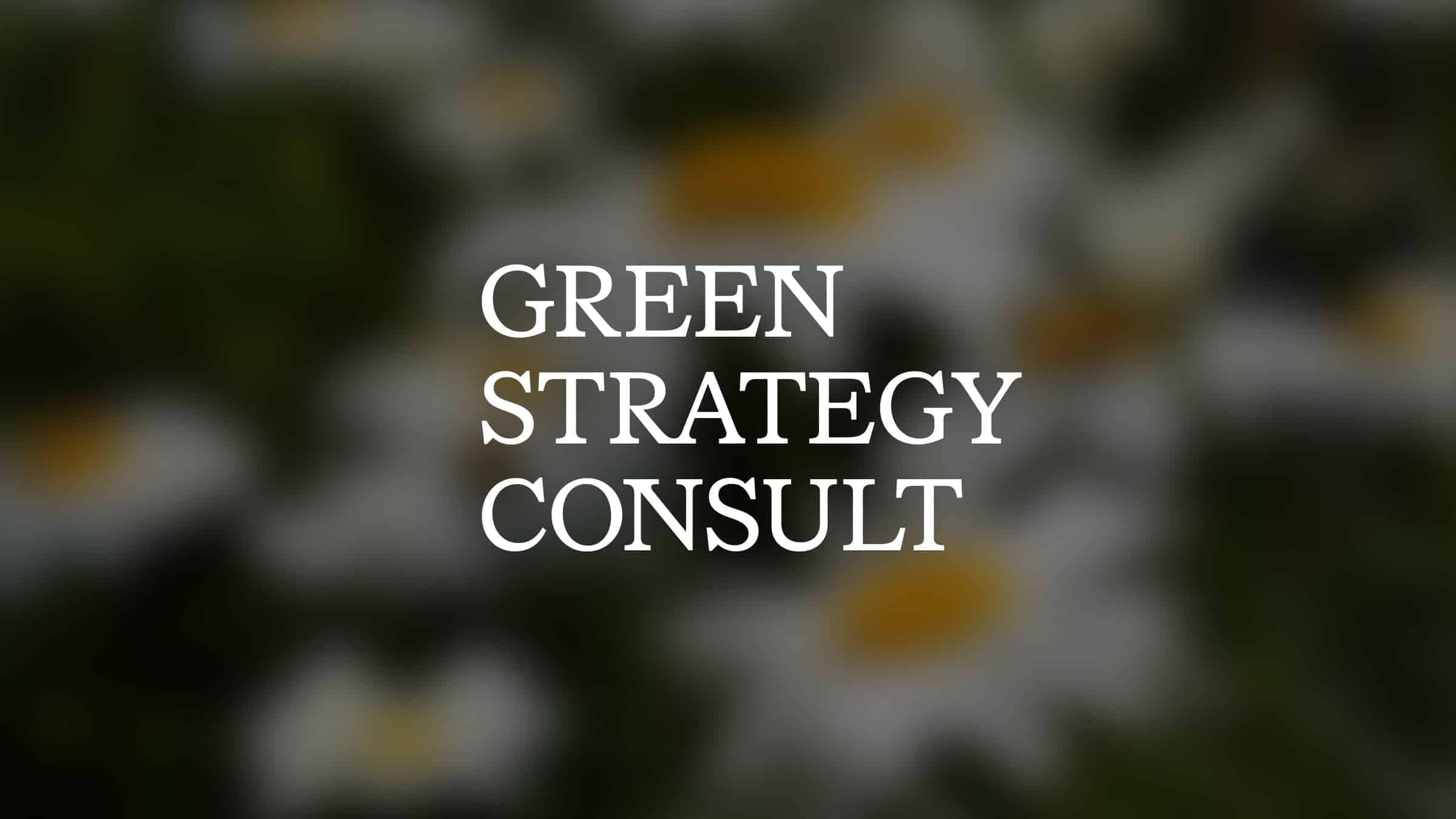 Green Strategy Consult – Find vej i bæredygtighedsuniverset